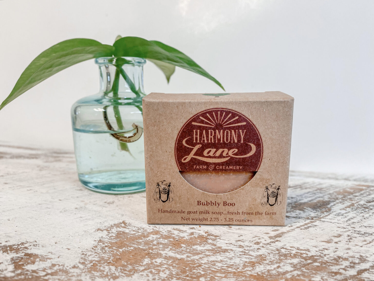 Bubbly Boo Soap Bar | Harmony Lane Farms